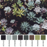 Color Palettes: Using Plants to Create Unique Color Combinations ...