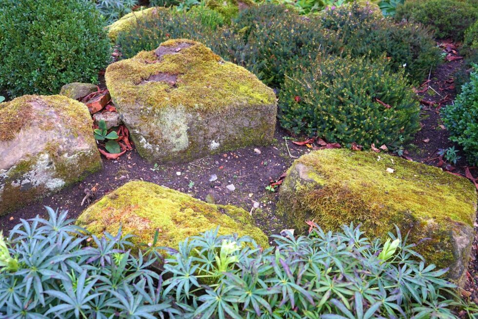 Planting for a Sustainable Future: 15 Drought Tolerant Landscape Ideas ...