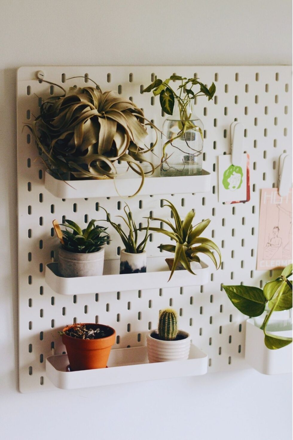 Green Inspiration: Innovative Home Plant Decor Ideas | Bloom and Boughs