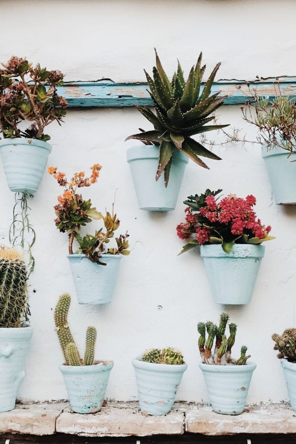 Green Inspiration: Innovative Home Plant Decor Ideas | Bloom and Boughs
