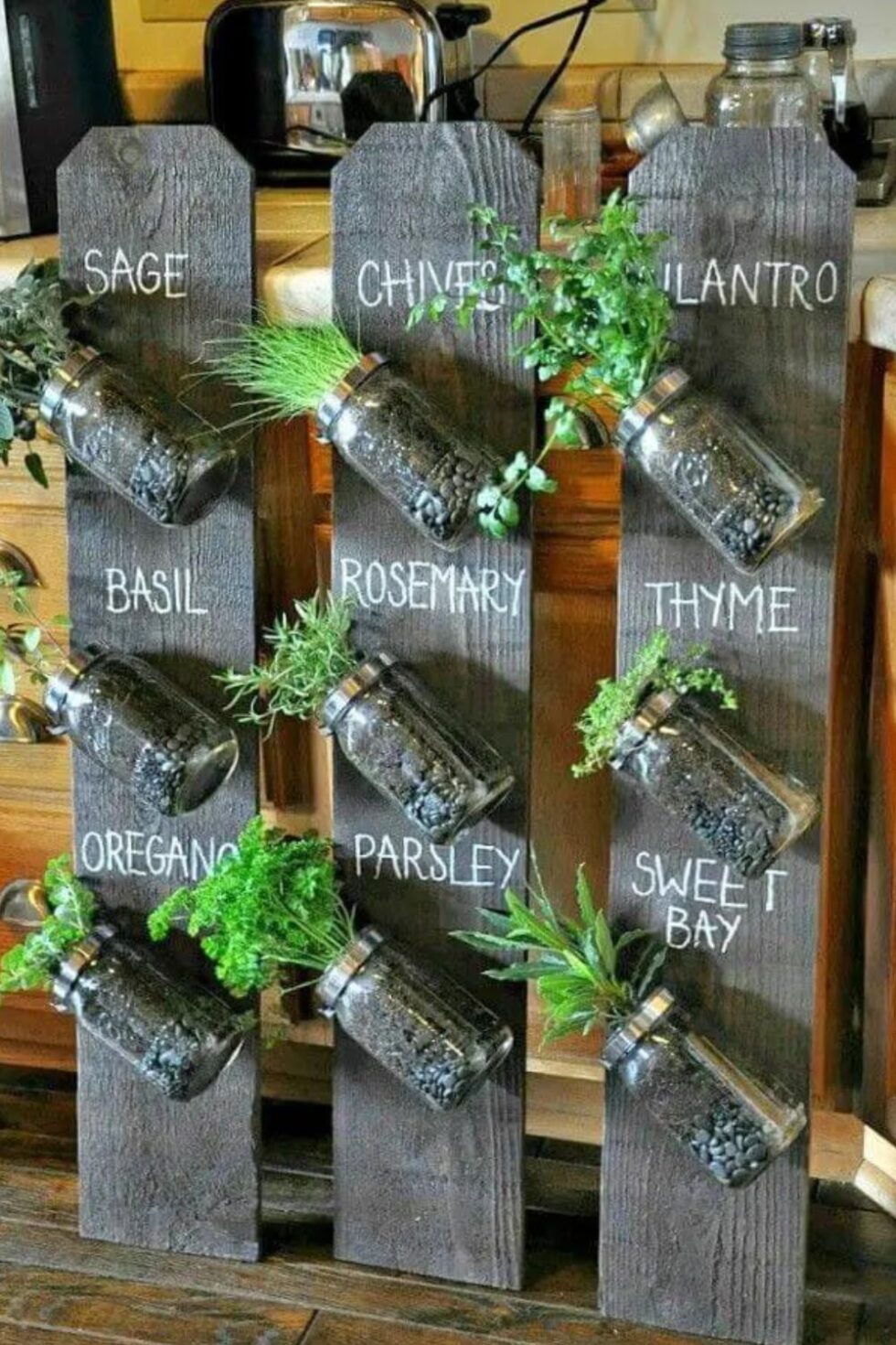 Repurposing Household Items as Planters: A Green DIY Adventure | Bloom ...