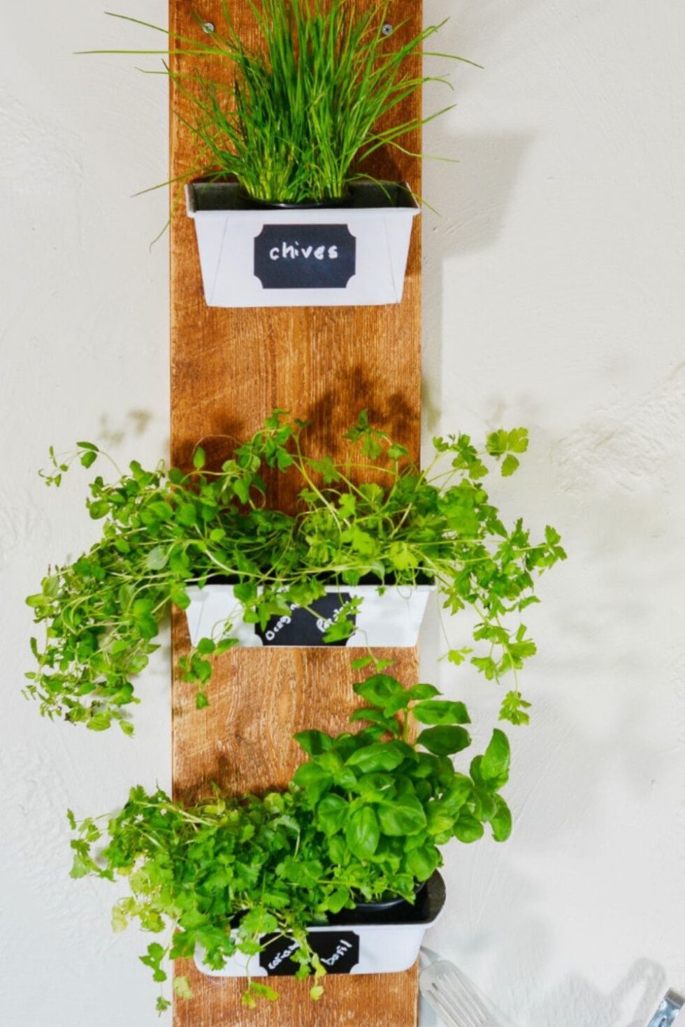 Repurposing Household Items as Planters: A Green DIY Adventure | Bloom ...