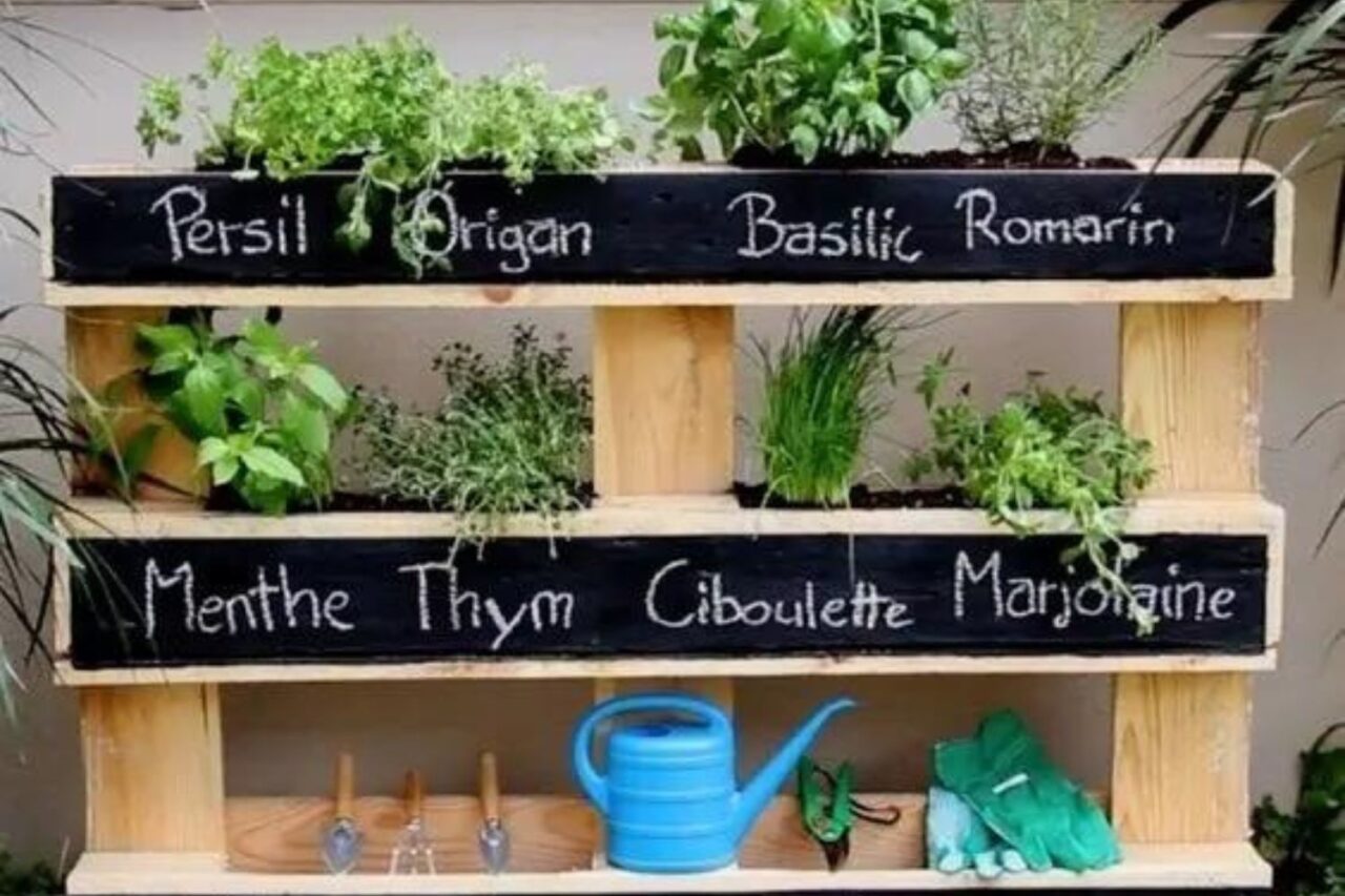 Repurposing Household Items as Planters: A Green DIY Adventure | Bloom ...