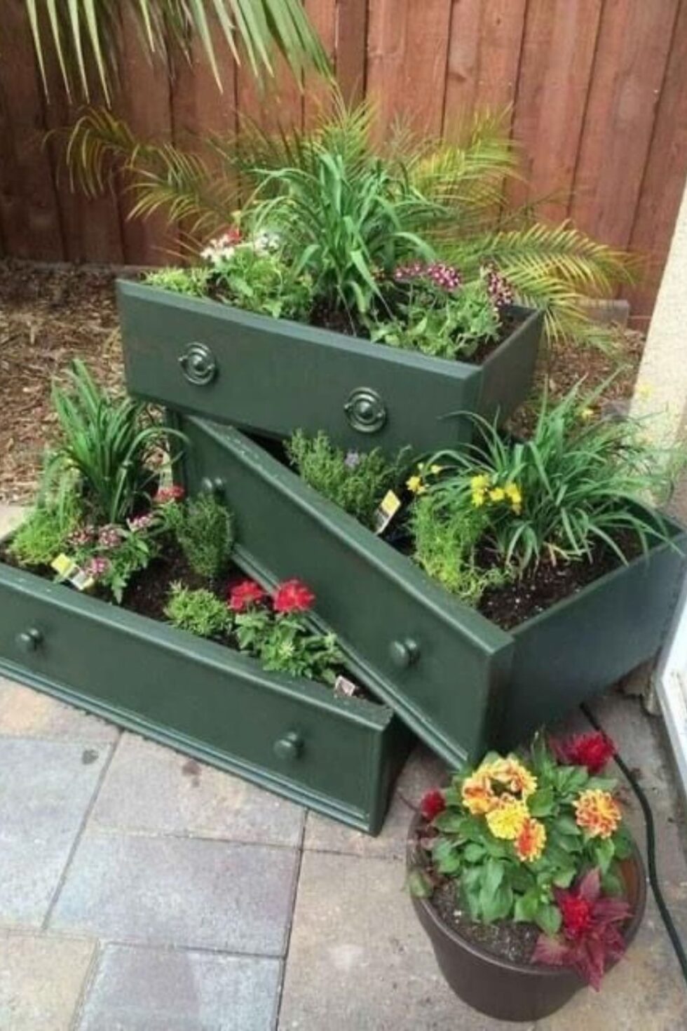 Repurposing Household Items as Planters: A Green DIY Adventure | Bloom ...