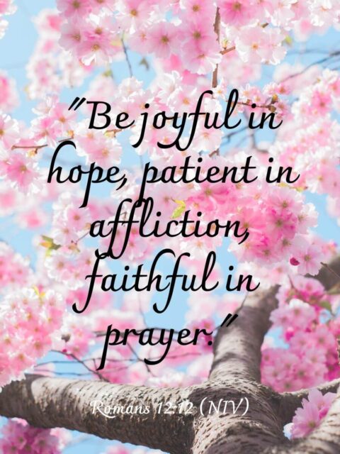 Renew Your Faith: 30 Bible Verses for Encouragement | Bloom and Boughs