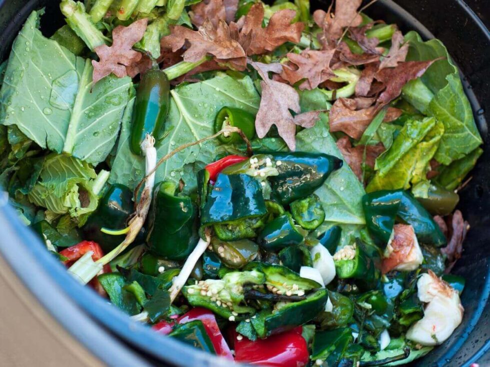 Composting for beginners - How to start composting? | Bloom and Boughs
