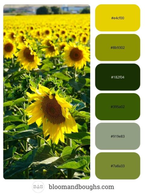 From Beach to Backyard - The Best Color Palettes of the Summer Season ...