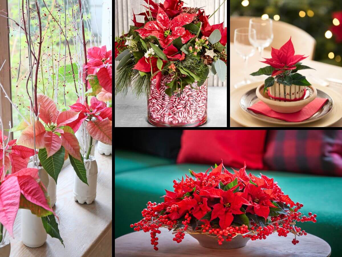 The Best 21 Christmas Color Palettes to Inspire Your Holiday Decor This ...